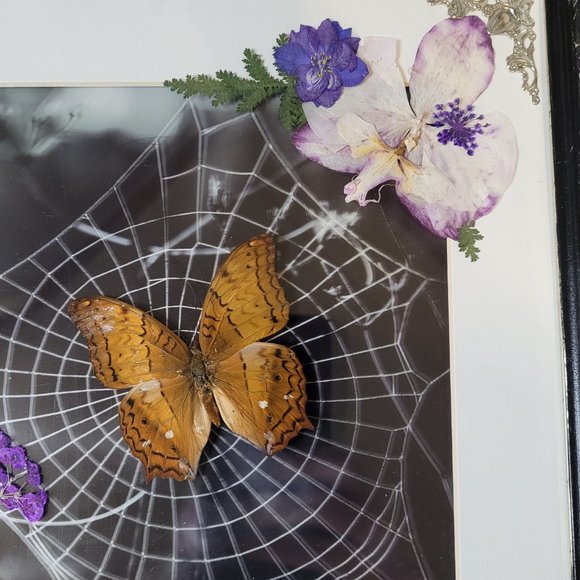 Art | Vintage Real Butterfly Frame | Poshmark